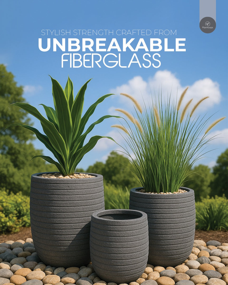 COMPANIA TALL IPANEMA PLANTER – Fiberglass Plant Pot | Unbreakable Ind ...