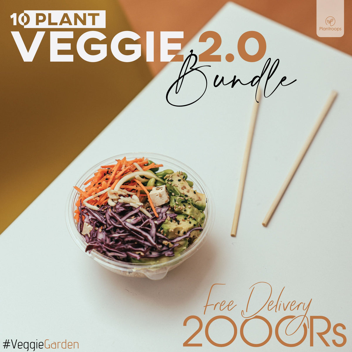 Veggie Bundle 2.0 (10 Plants) – Plantroops