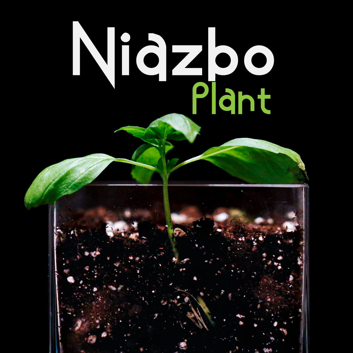 Niazbo Plant – Plantroops